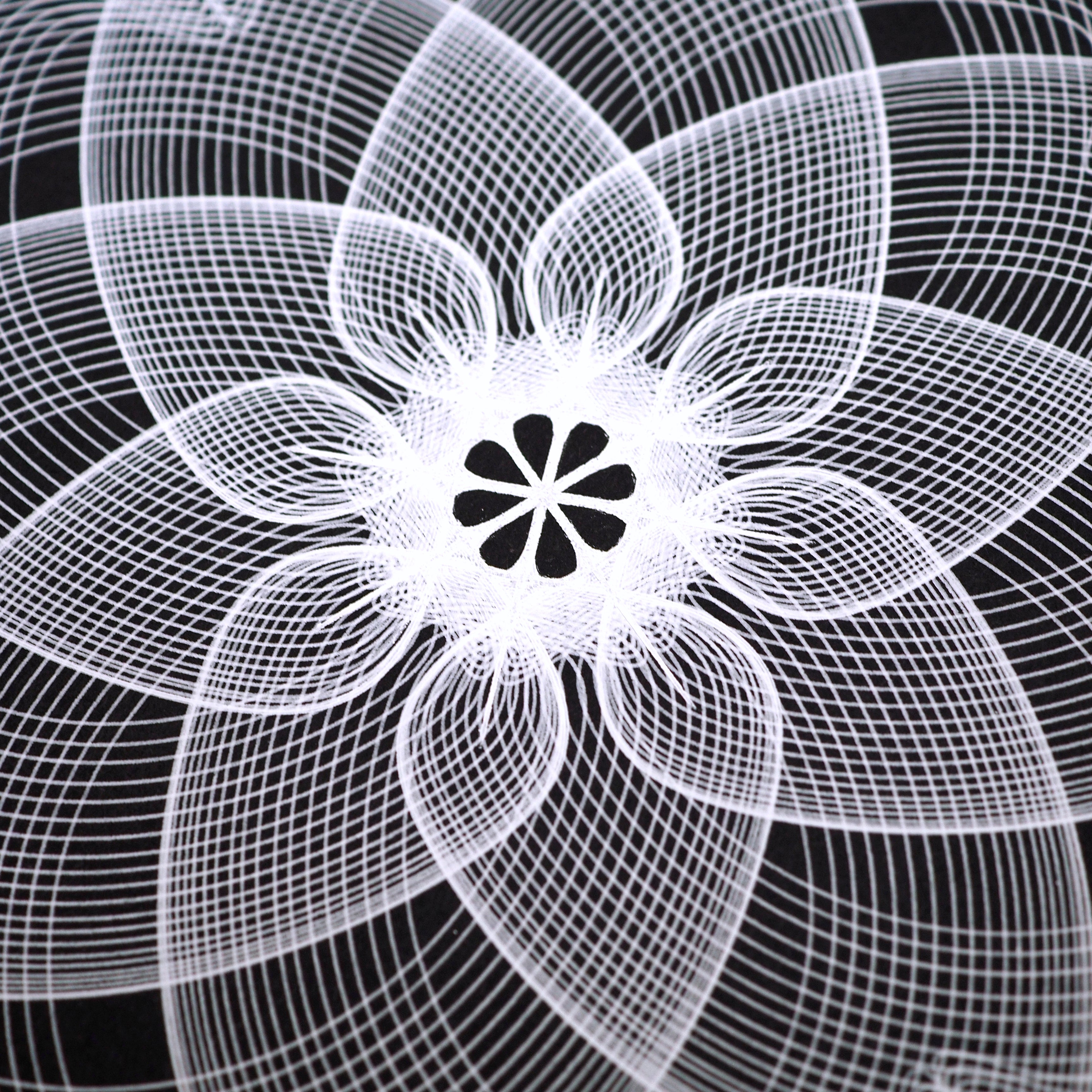 Butterfly Spirograph Pen Plot Art - Limited Edition of 5 – Dirt Alley Design